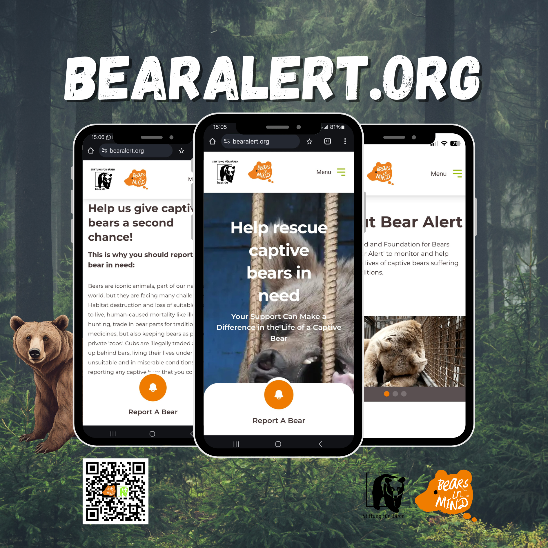 Bear Alert – Bears in Mind