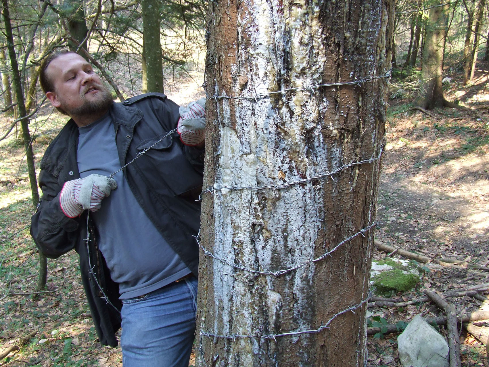 Status of brown bears in Albania & Macedonia – Bears in Mind