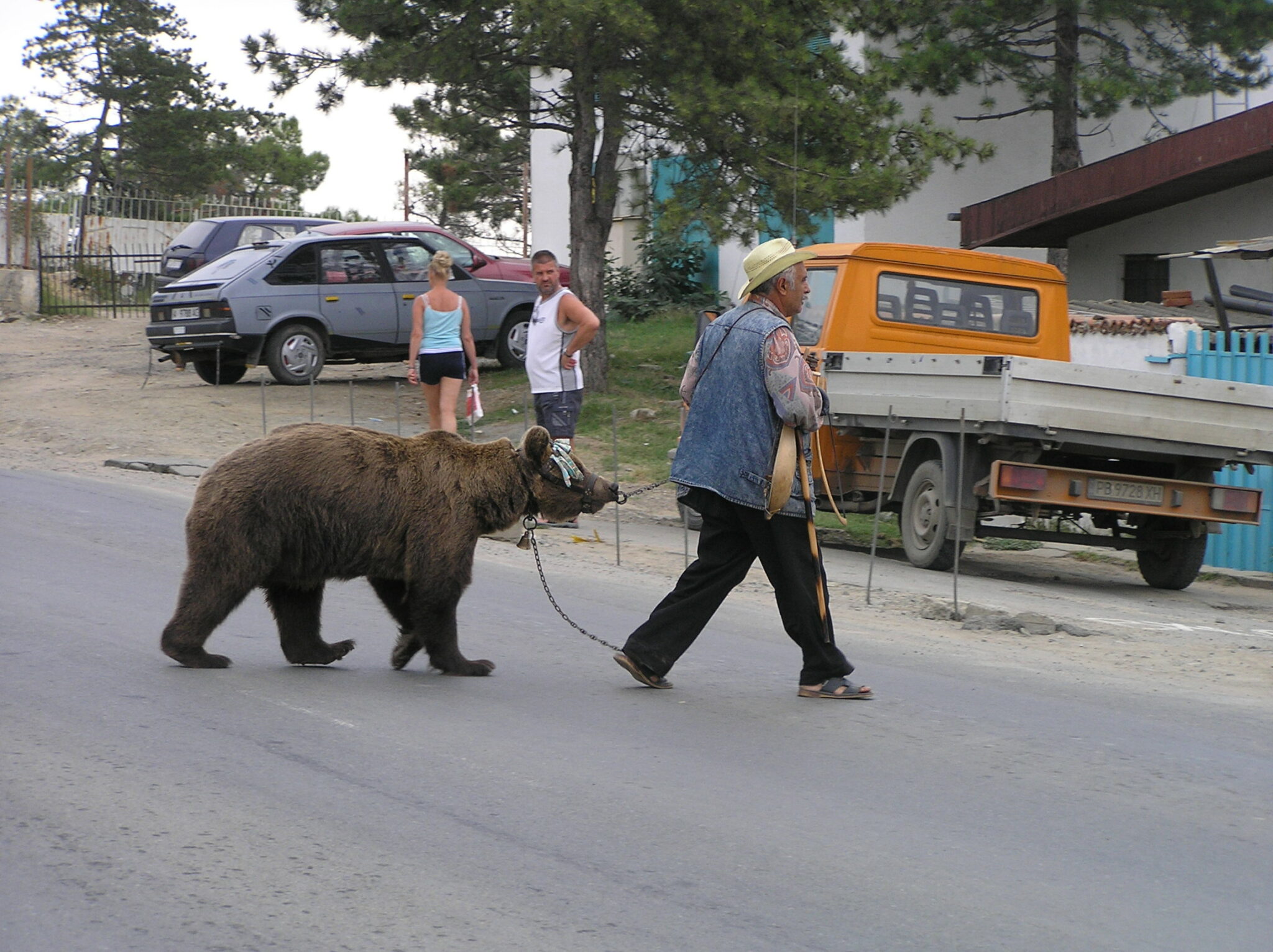 Dancing bears in Bulgaria – Bears in Mind