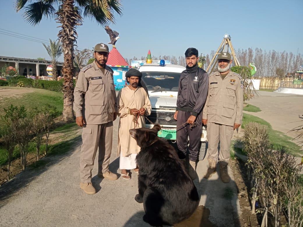 Asiatic black bear conservation in Pakistan – Bears in Mind
