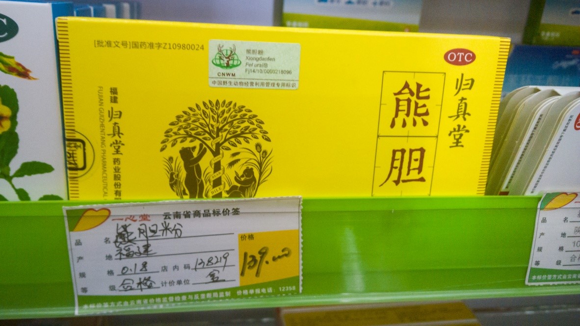 Maleise beer – Bears in Mind