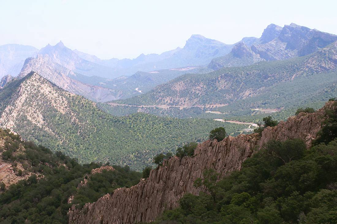Fostering coexistence for the Syrian brown bear in Iraqi Kurdistan ...