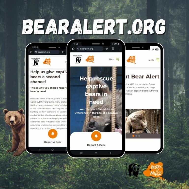 Meld een beer in nood met ‘Bear Alert’ – Bears in Mind