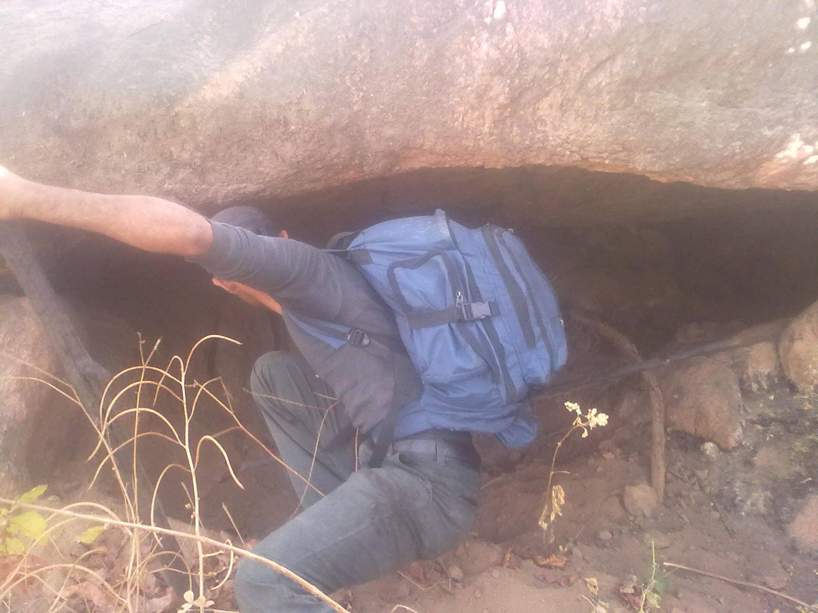 Bear Projects – Bears in Mind